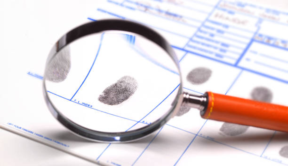 INVESTIGATION AND INSPECTION SERVICES